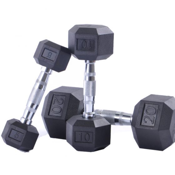 Dumbbells - Fitness or Exercise Equipment for Your Facilities or Home ...